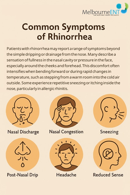 Rhinorrhea Treatment in Melbourne | Expert ENT Specialists